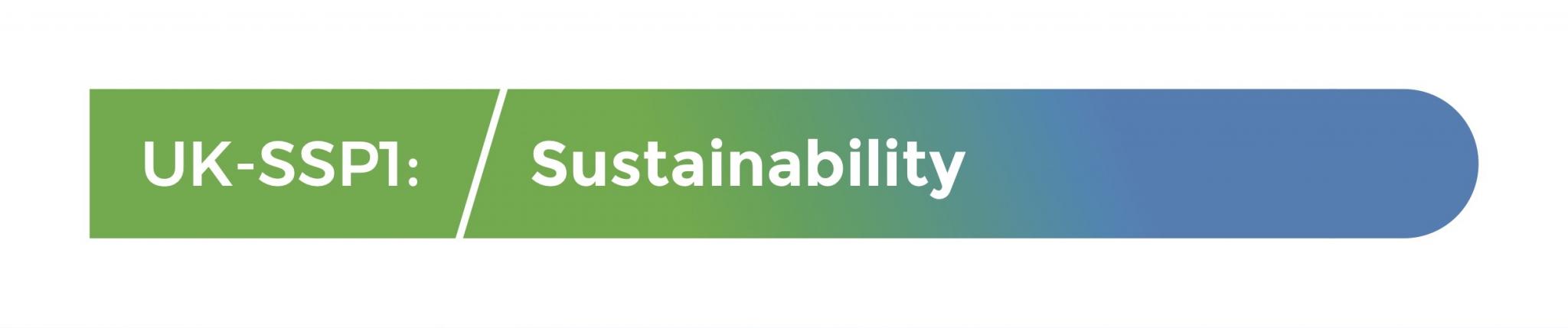 Products of the UK-SSPs project