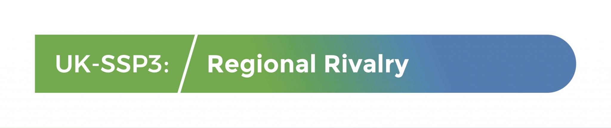 Products of the UK-SSPs project