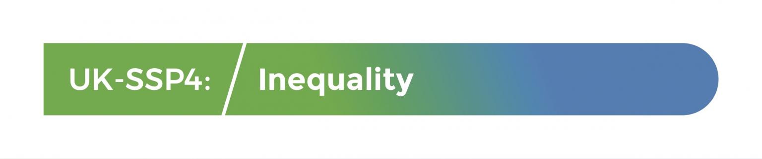 Products of the UK-SSPs project